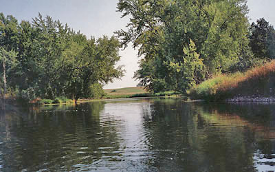 #10 Red Cedar River, Wisconsin - Debra Frasier