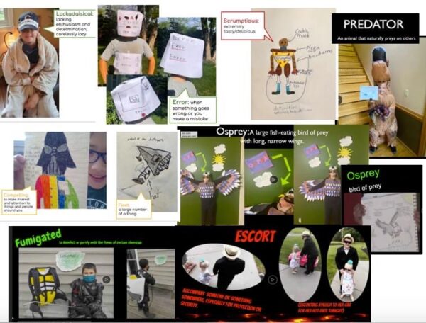 Online Vocabulary Parades - Debra Frasier